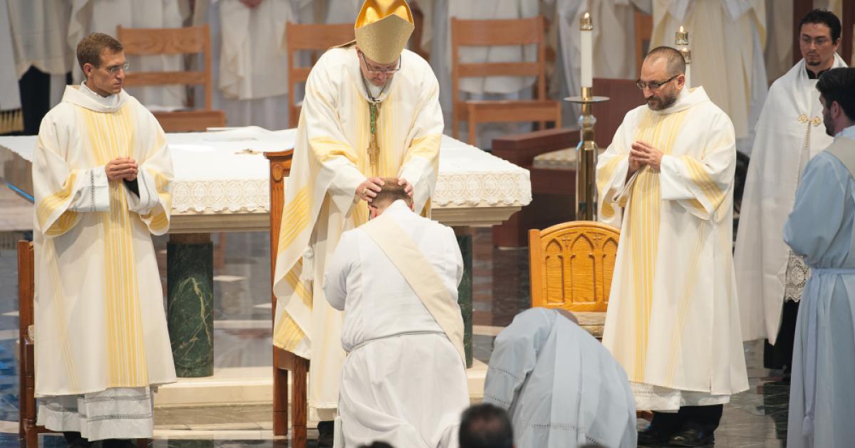 National Vocation Awareness Week Highlights the Diversity and Unity of ...