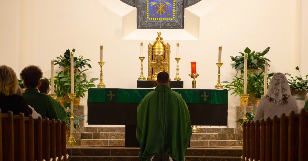 National Vocation Awareness Week Invites the Faithful to Pray for an ...