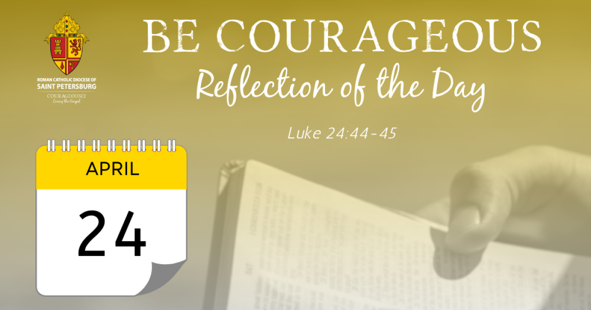 Encountering Christ in Scripture | Gulf Coast Catholic